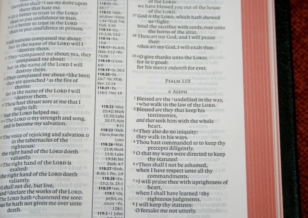 Cambridge 2nd Edition KJV Pitt Minion Reference Bible in Black Goatskin ...