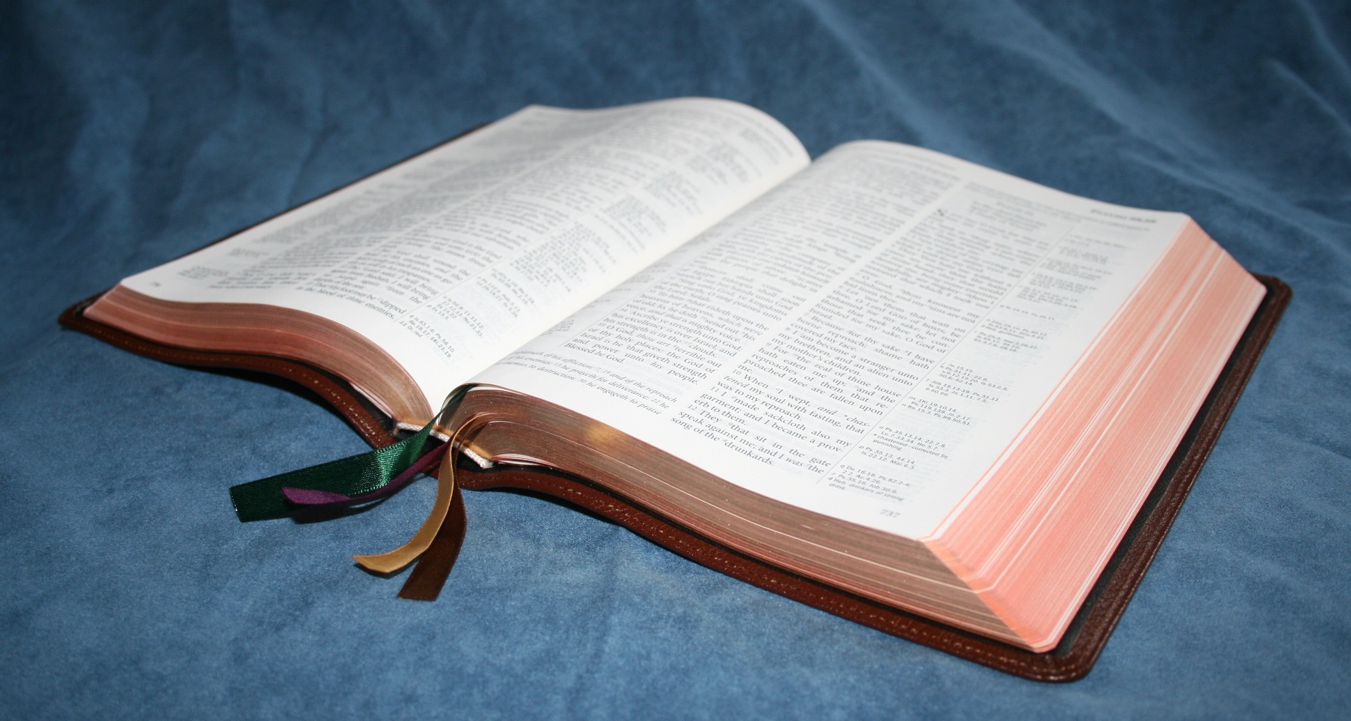 Schuyler Westminster Kjv Bible Wholesale Sale Ids deutschland de