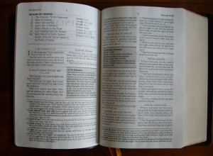 Rock of Ages Study Bible - Review