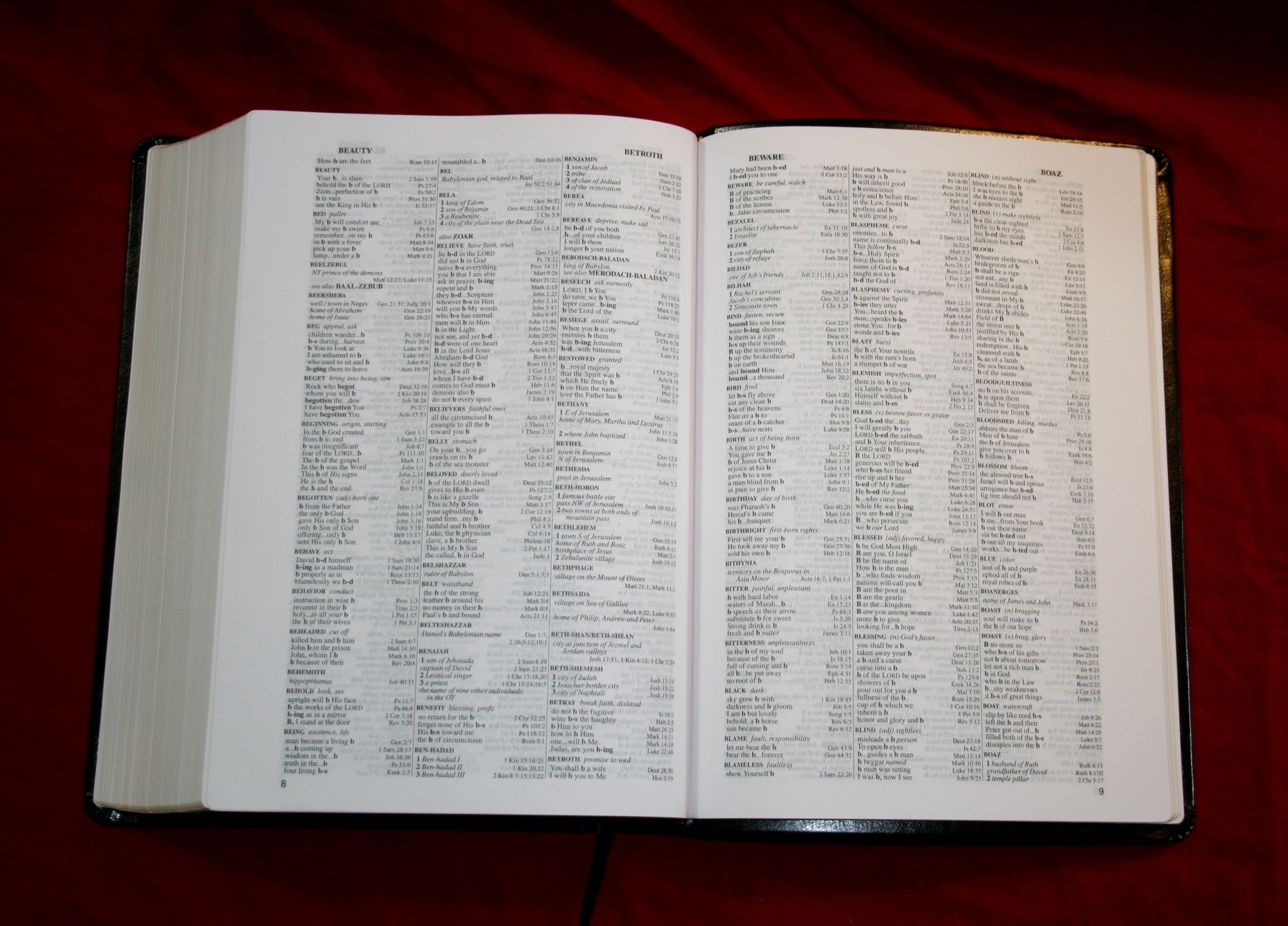 Foundation’s Side Column Reference Bible NASB – Review