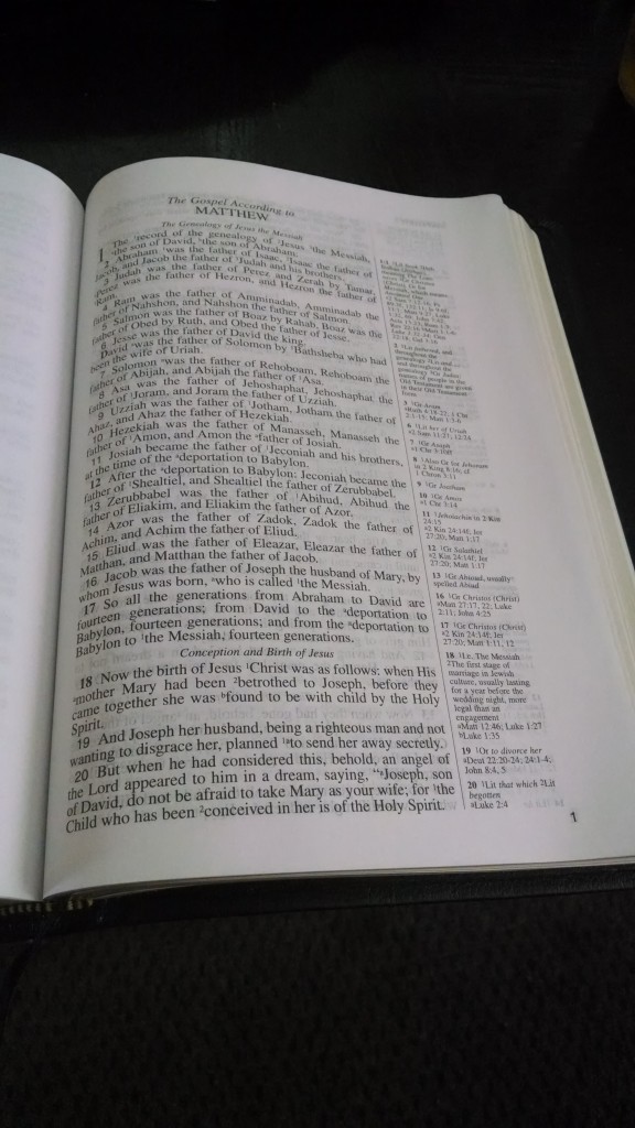 NASB Side Column Wide Margin Reference Bible