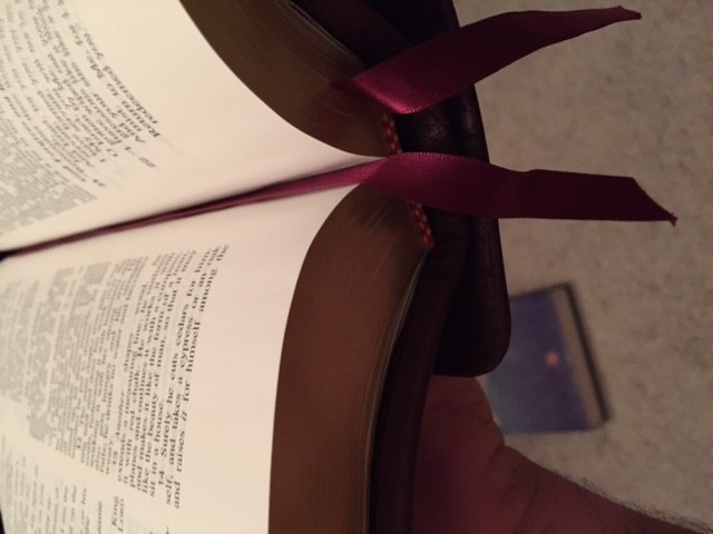 In Touch Ministries Wide Margin NASB Note Takers Bible - Bible Buying Guide