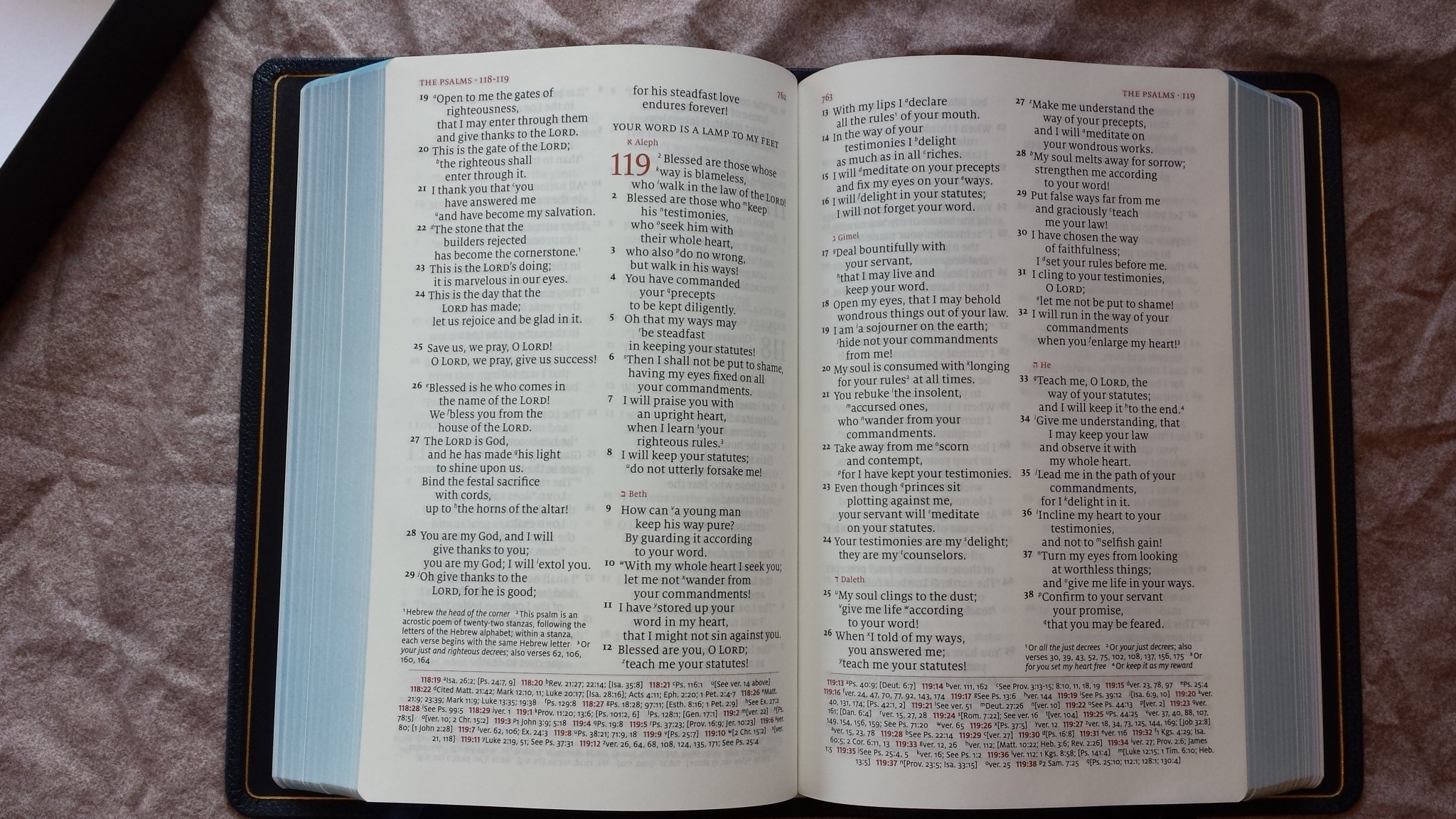 Schuyler ESV Quentel Bible - Review - Bible Buying Guide