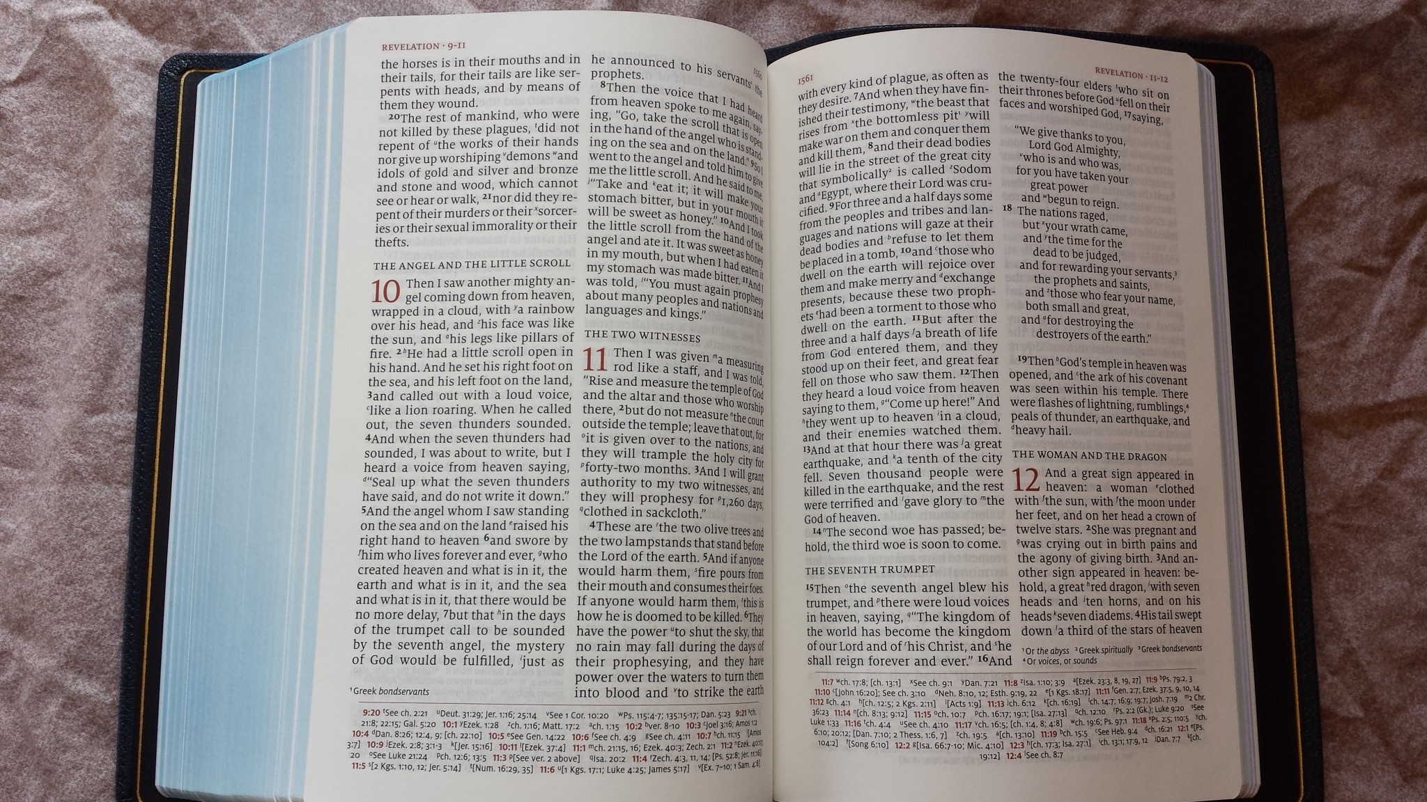 Schuyler ESV Quentel Bible - Review - Bible Buying Guide