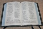 Schuyler ESV Quentel Bible - Review - Bible Buying Guide
