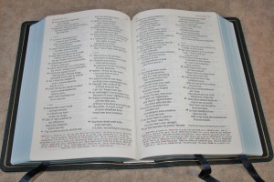 Schuyler ESV Quentel Bible - Review - Bible Buying Guide