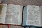 Schuyler ESV Quentel Bible - Review - Bible Buying Guide