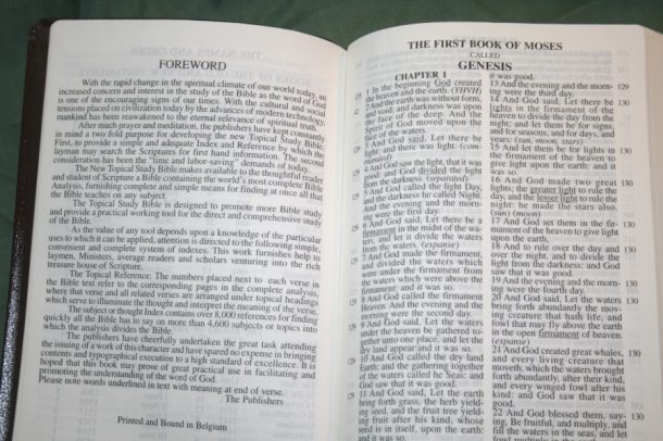 The Subject Bible (4) - Bible Buying Guide