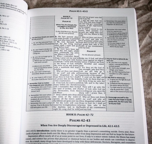 The Preacher s Outline Sermon Bible Psalms Part 2 Bible Buying Guide The Preacher s Outline Sermon Bible Psalms Part 2 Bible Buying Guide