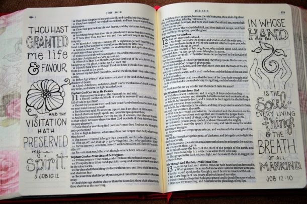 KJV My Creative Bible Review - Bible Buying Guide