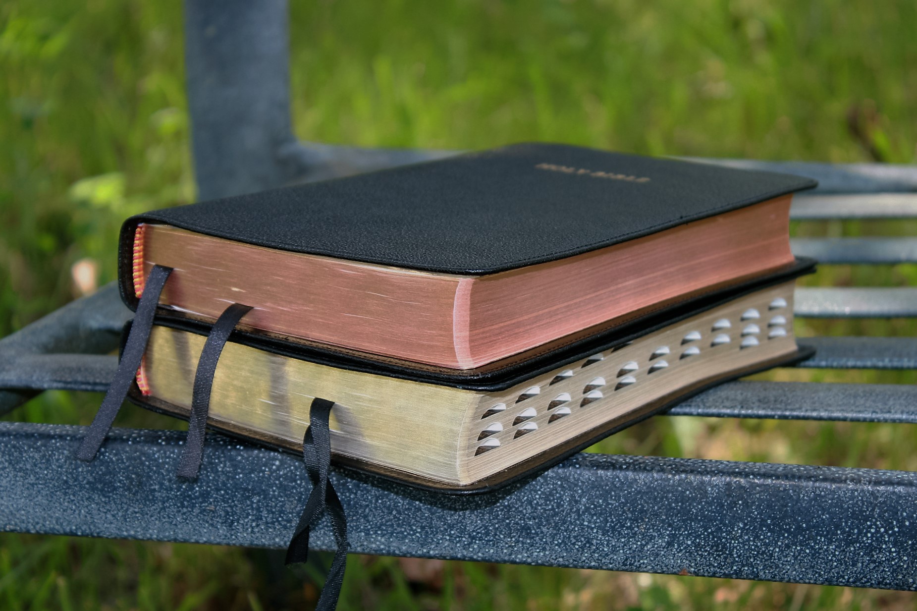Cambridge Concord Goatskin (55) - Bible Buying Guide