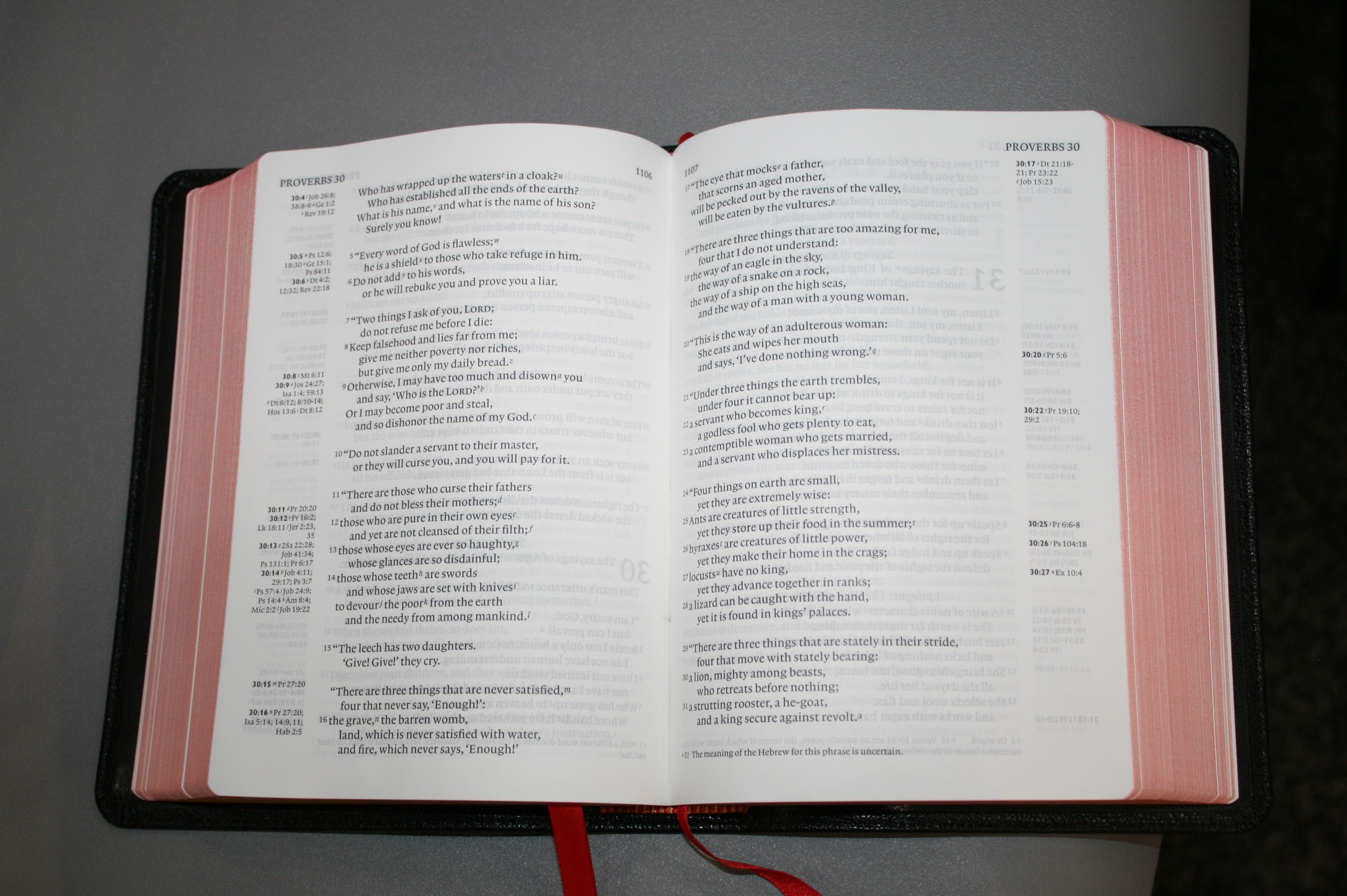 NIV Cambridge Clarion - Bible Buying Guide