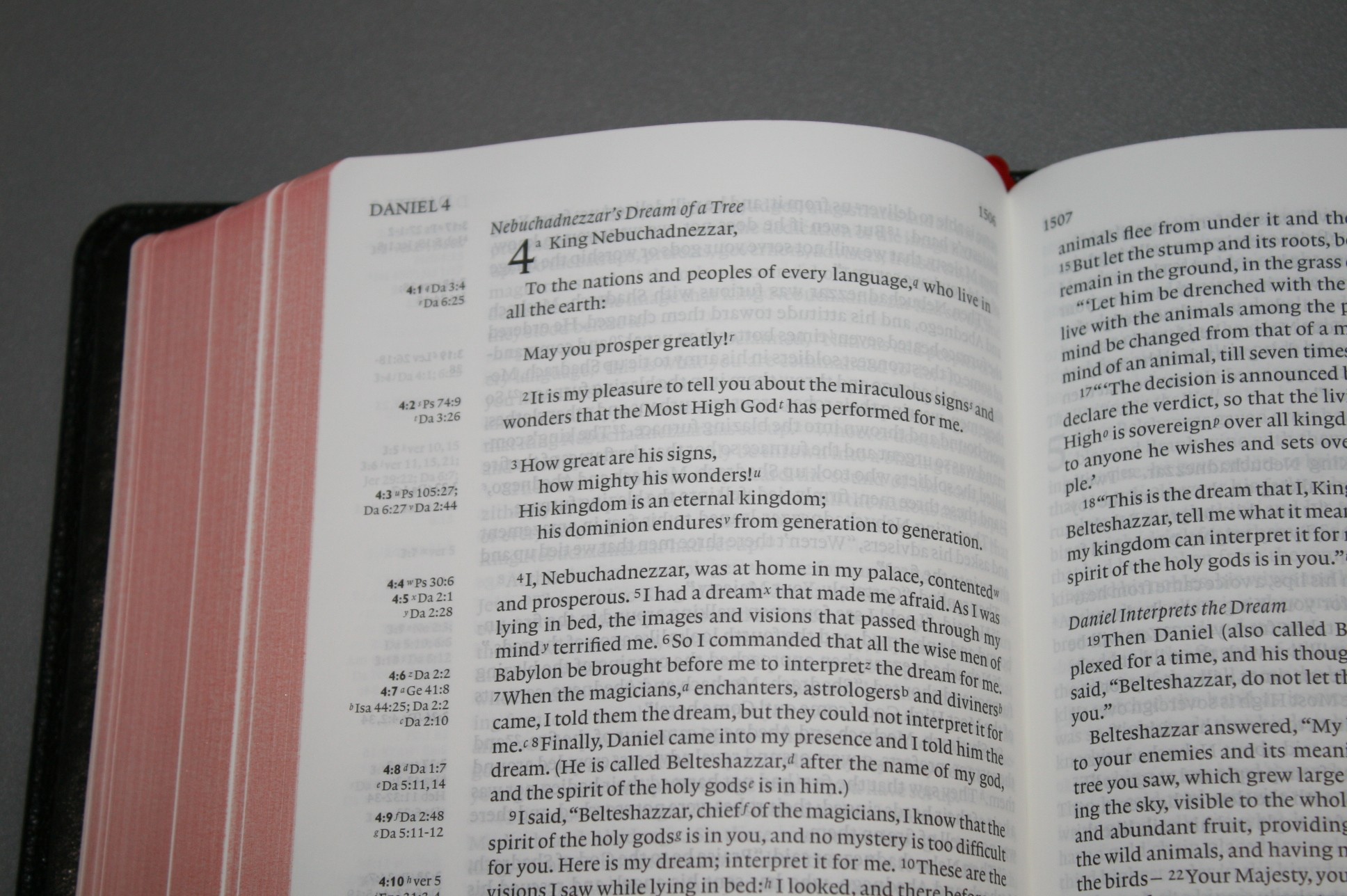 NIV Cambridge Clarion - Bible Buying Guide