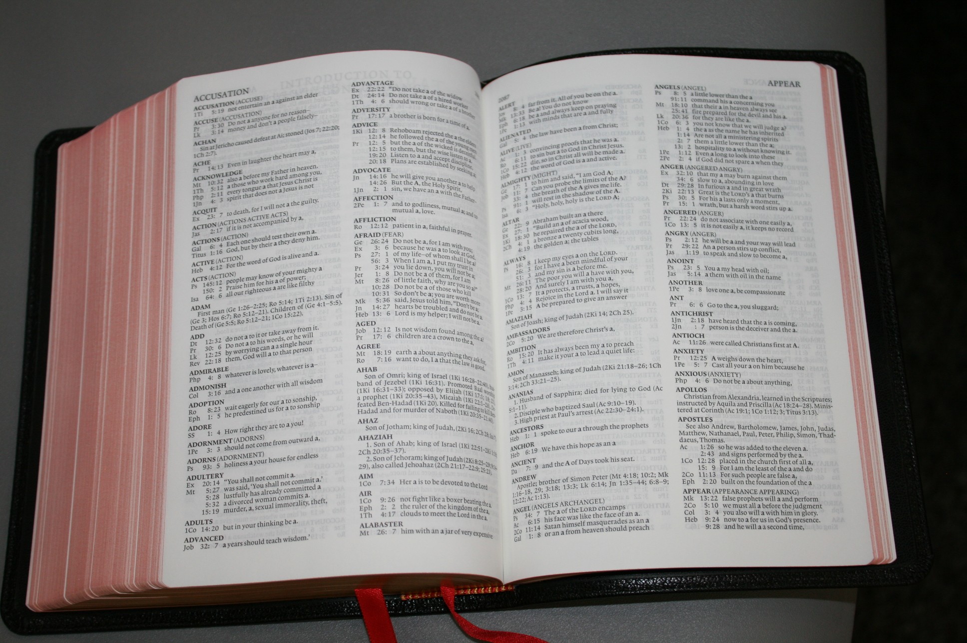 NIV Cambridge Clarion - Bible Buying Guide