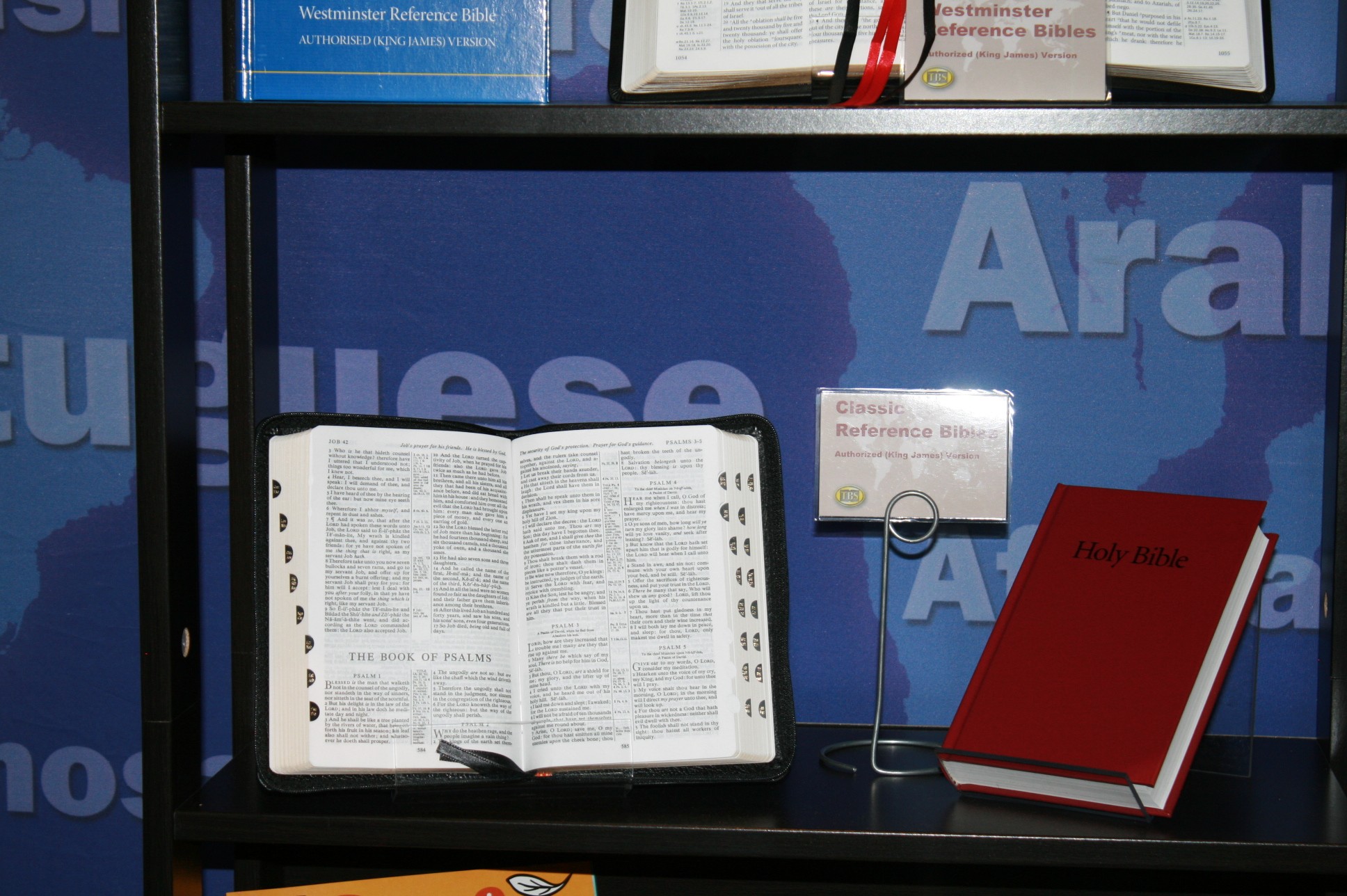 ICRS - The TBS Booth - Bible Buying Guide