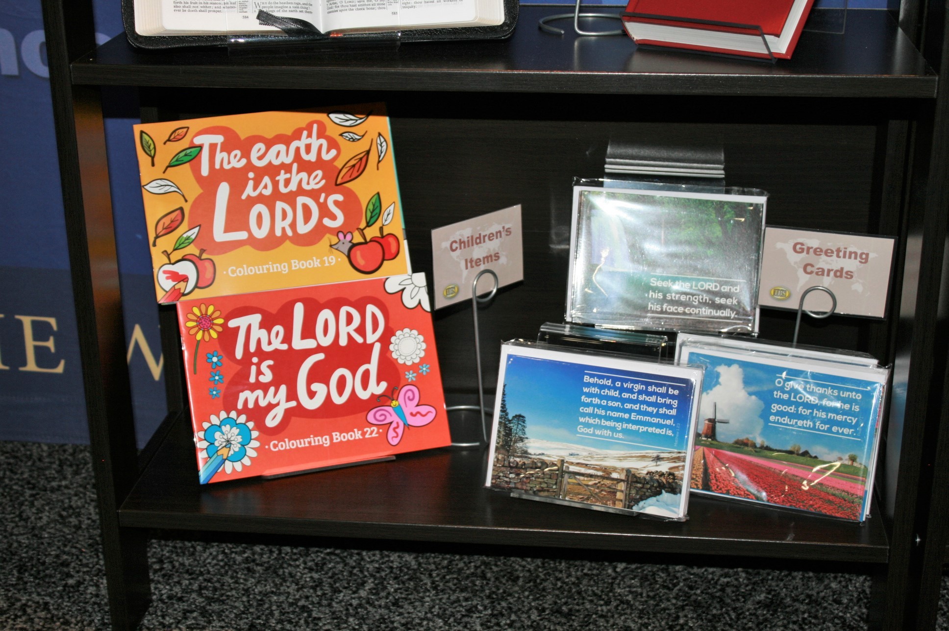 ICRS - The TBS Booth - Bible Buying Guide