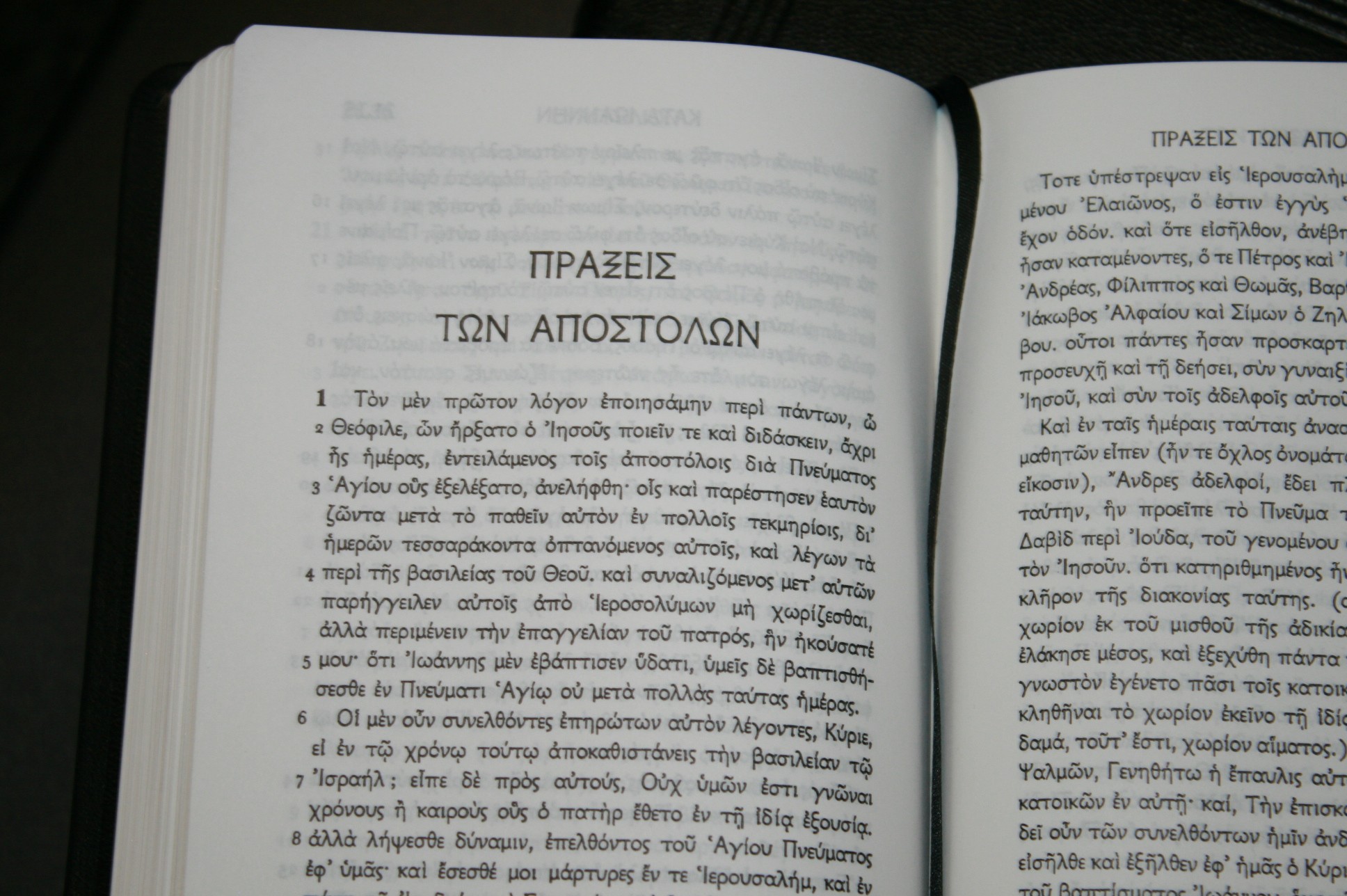 TBS Hebrew and Greek Bibles - Bible Buying Guide