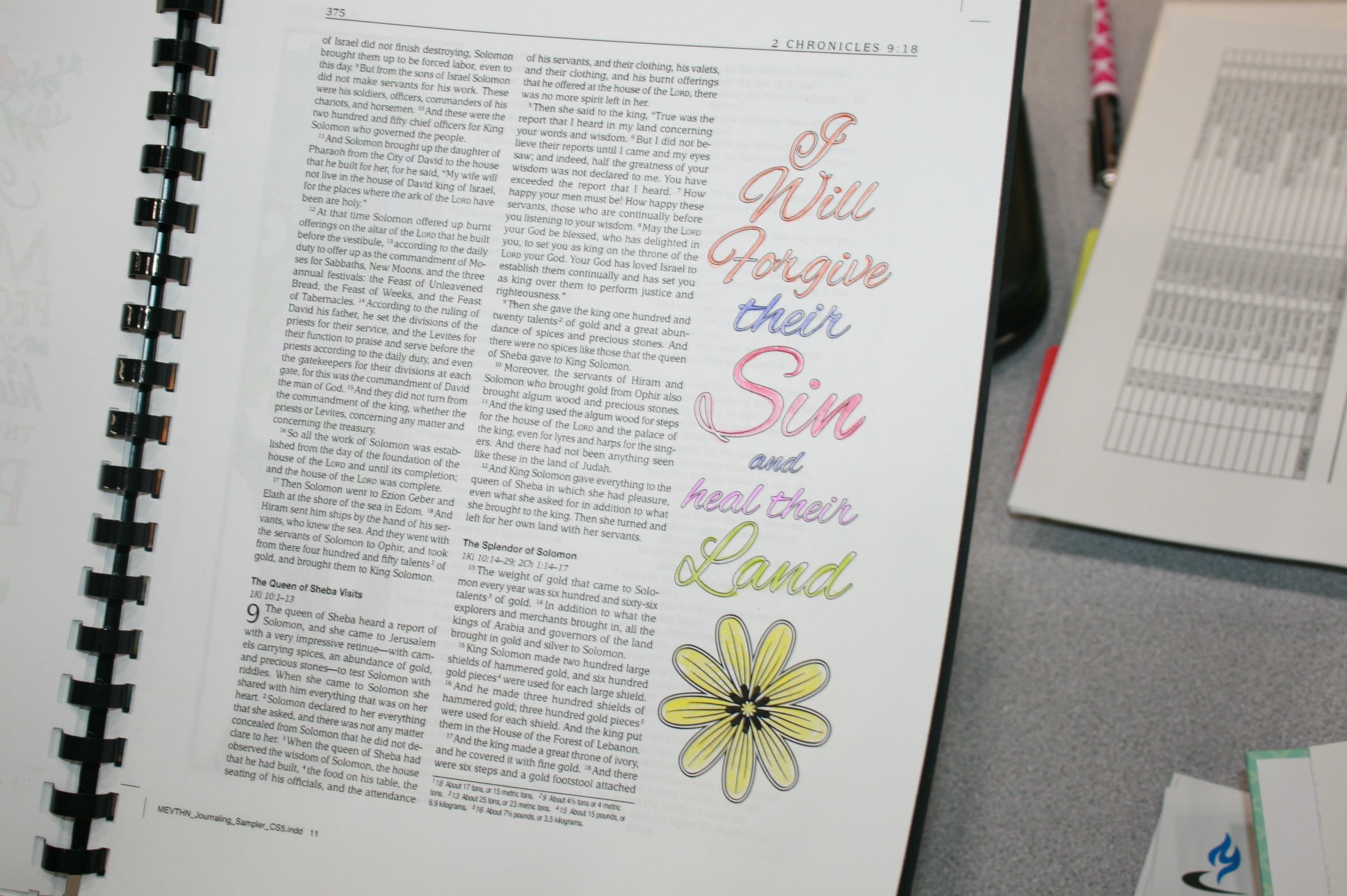 MEV Journaling Bible - Bible Buying Guide