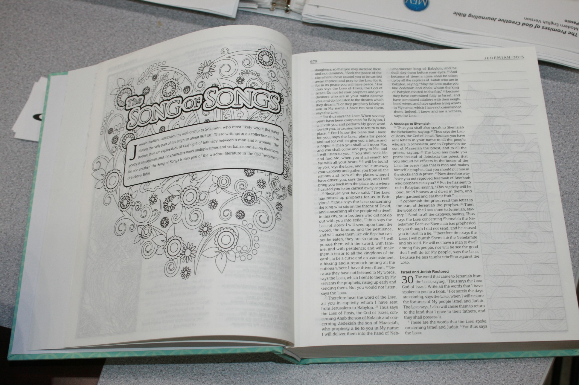 MEV Journaling Bible - Bible Buying Guide