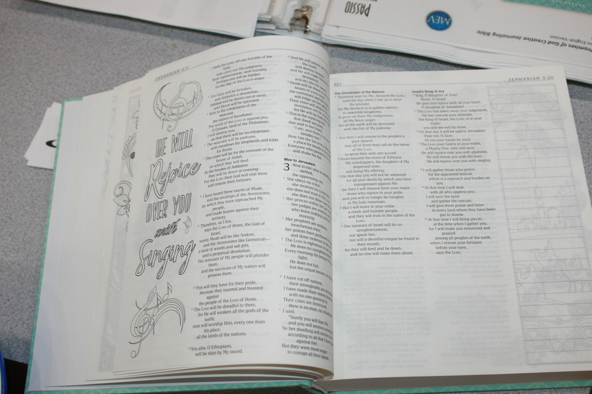 MEV Journaling Bible - Bible Buying Guide