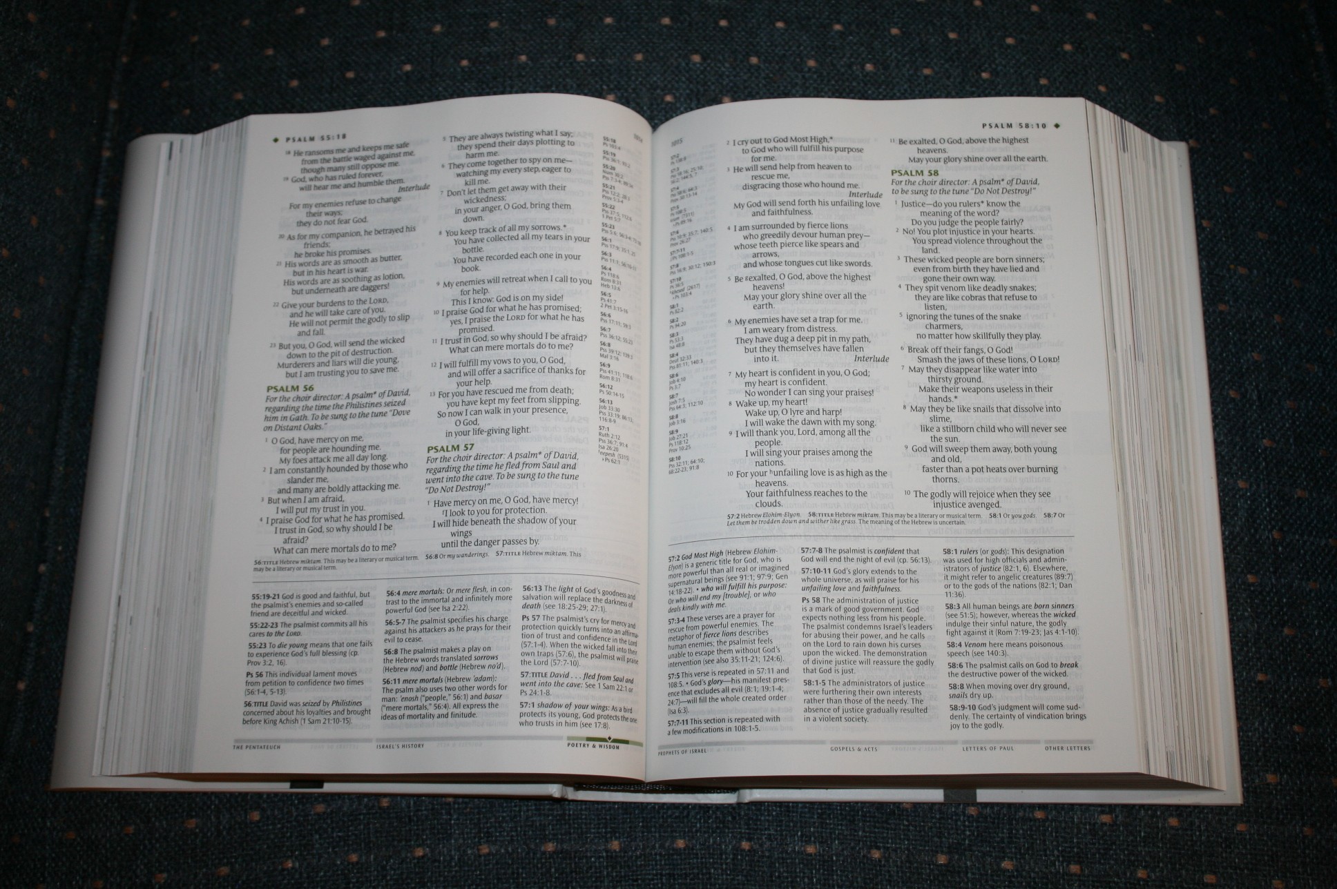 NLT Illustrated Study Bible – Review - Bible Buying Guide