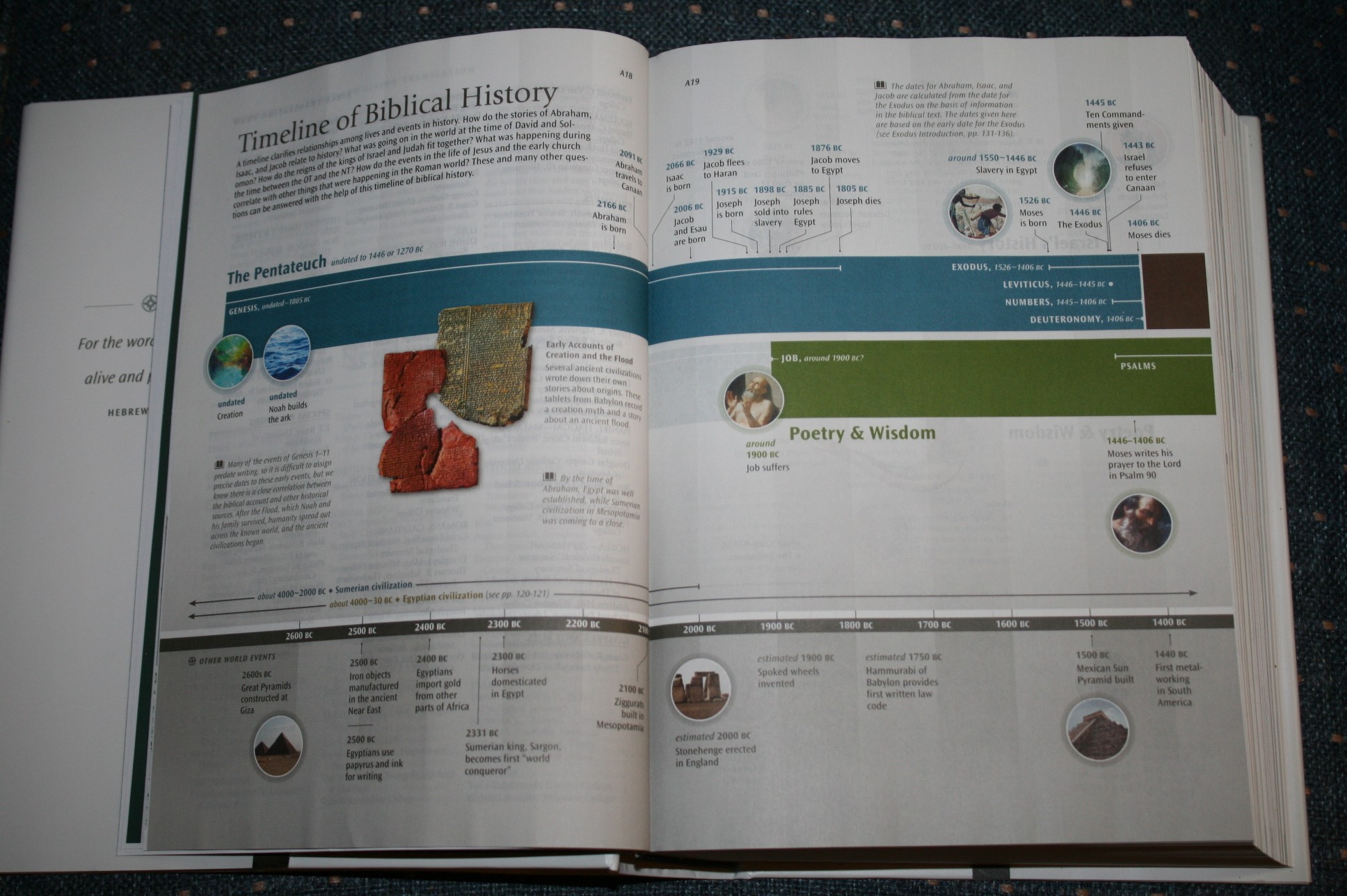 NLT Illustrated Study Bible (5) - Bible Buying Guide