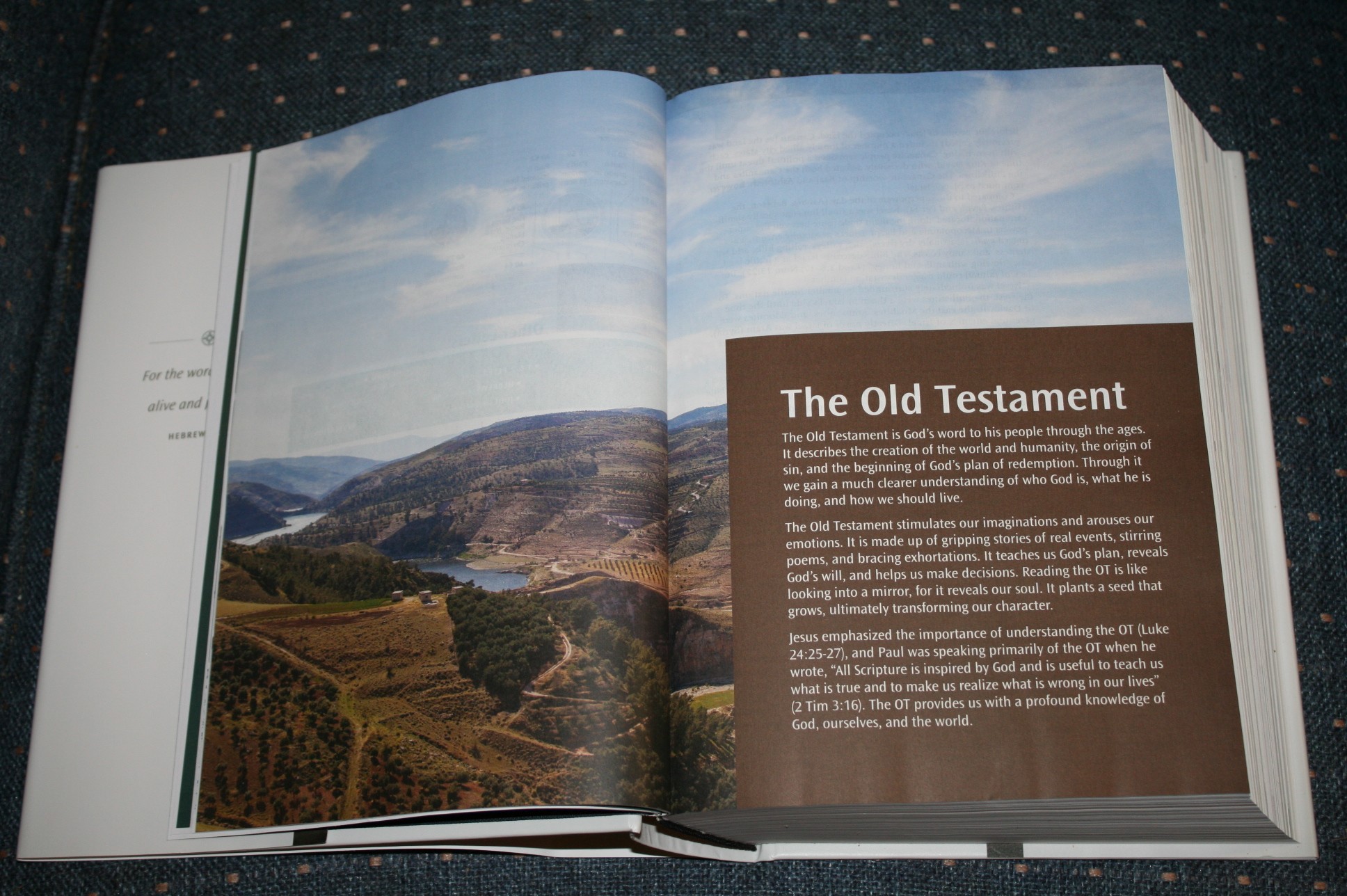 NLT Illustrated Study Bible 6 Bible Buying Guide