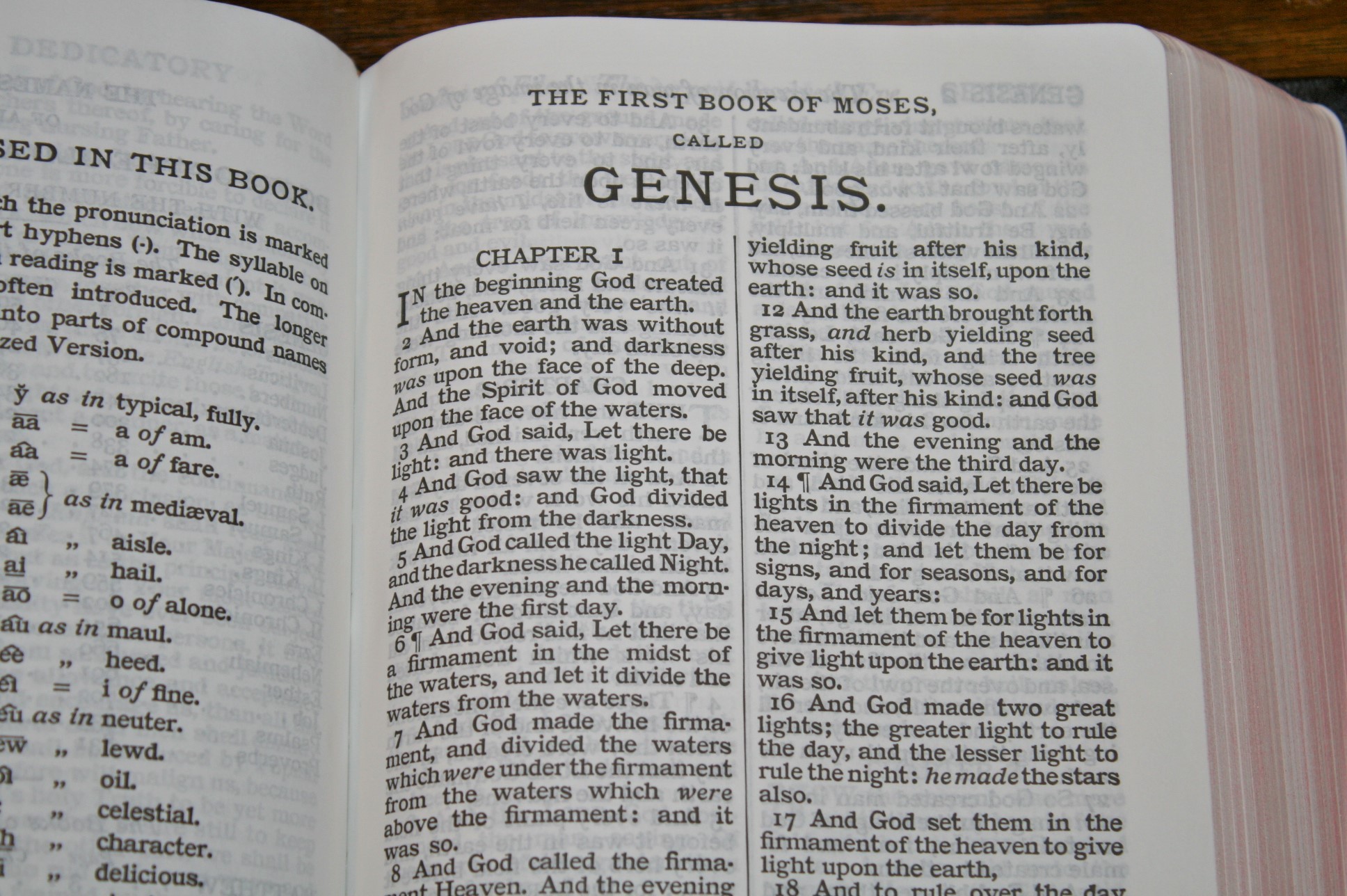 TBS Family Bible (14) - Bible Buying Guide