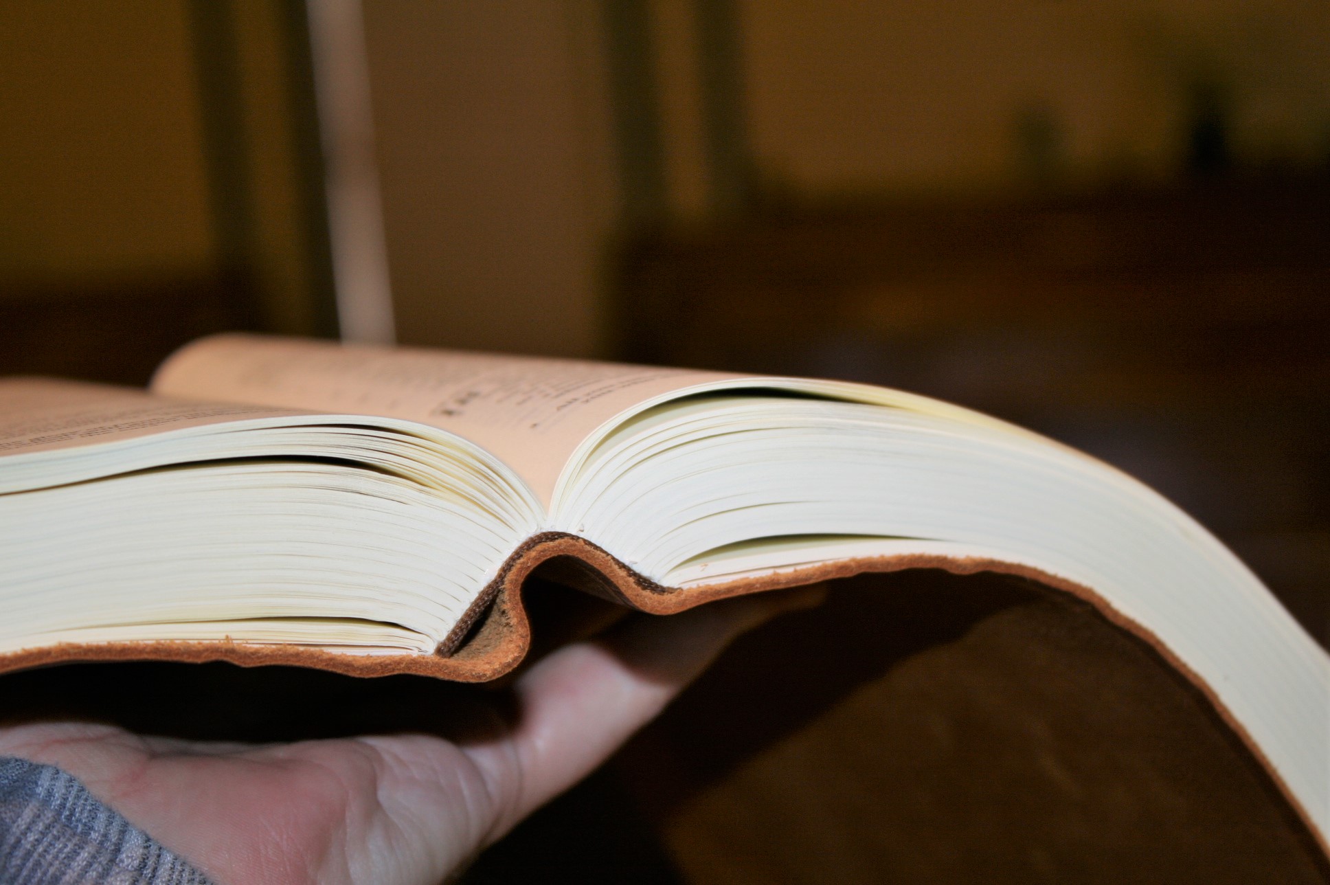 ESV Single Column Journaling Bible Large Print Edition - Review - Bible ...