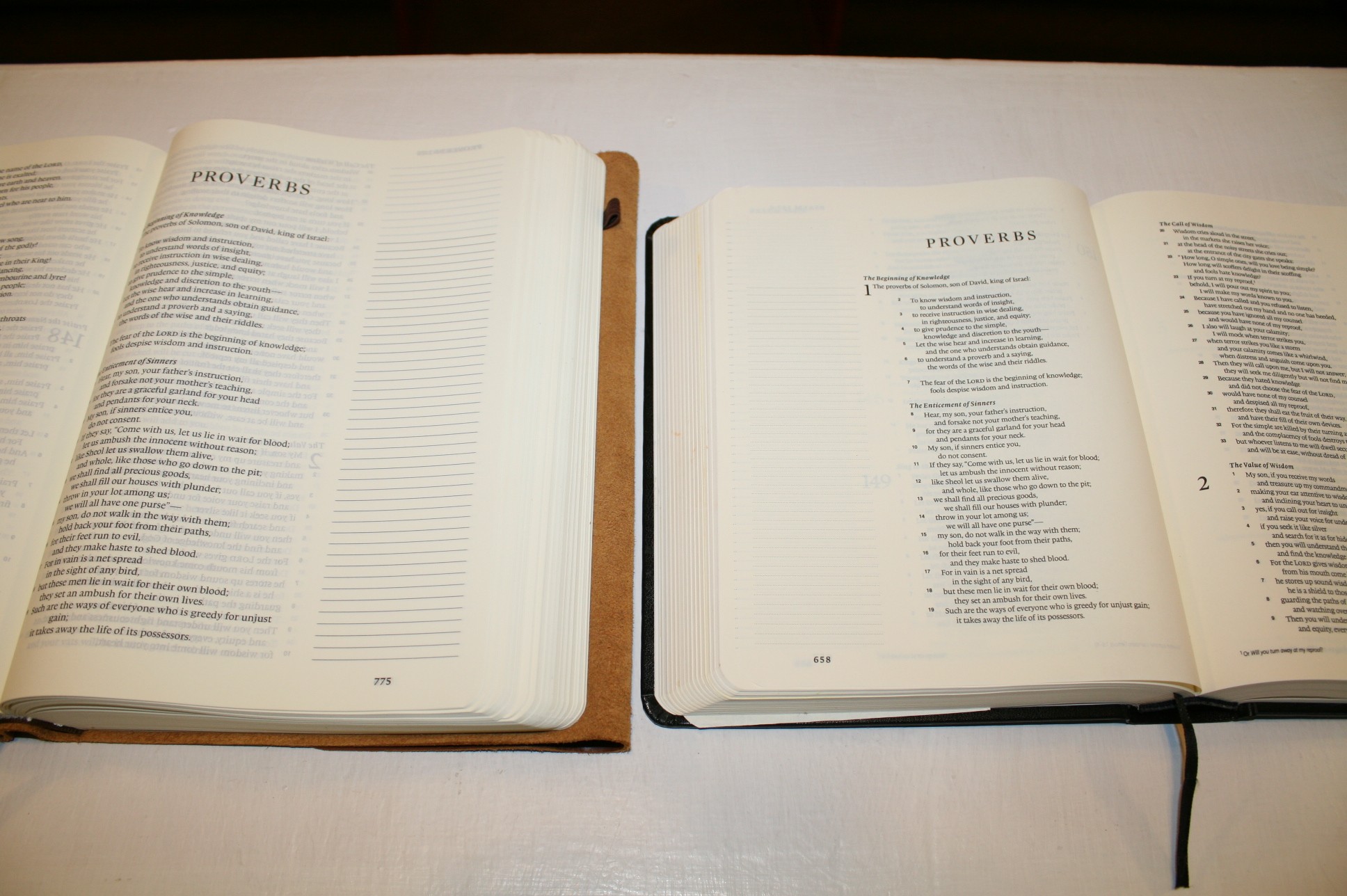 ESV Single Column Journaling Bible Large Print Edition - Review - Bible ...