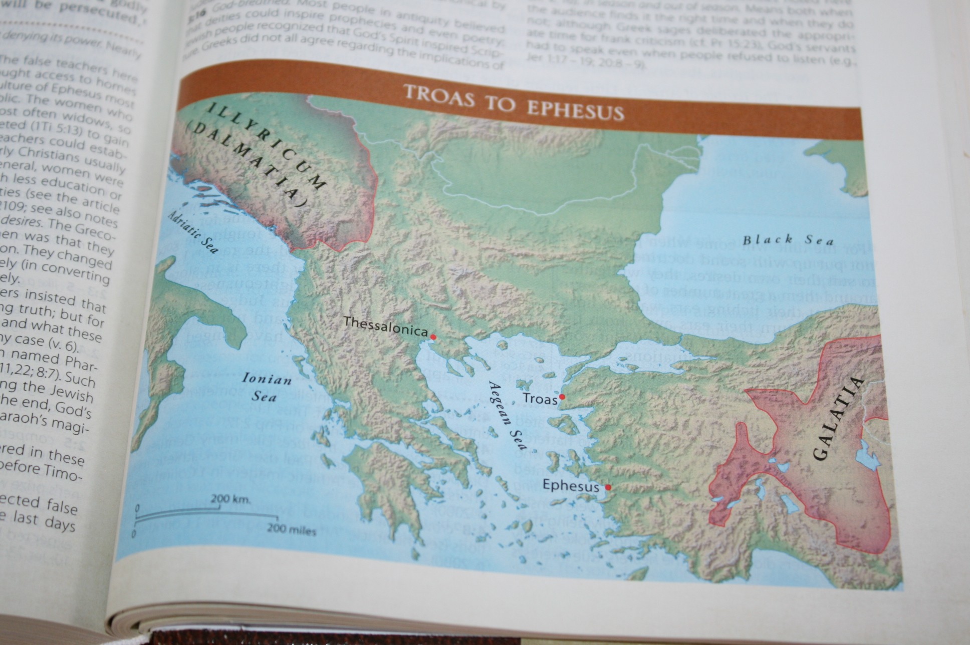 NIV Cultural Backgrounds Study Bible - Selective Review 2 Timothy ...