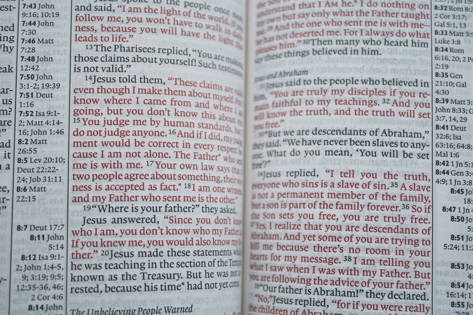 cambridge-nlt-pitt-minion-18 - Bible Buying Guide