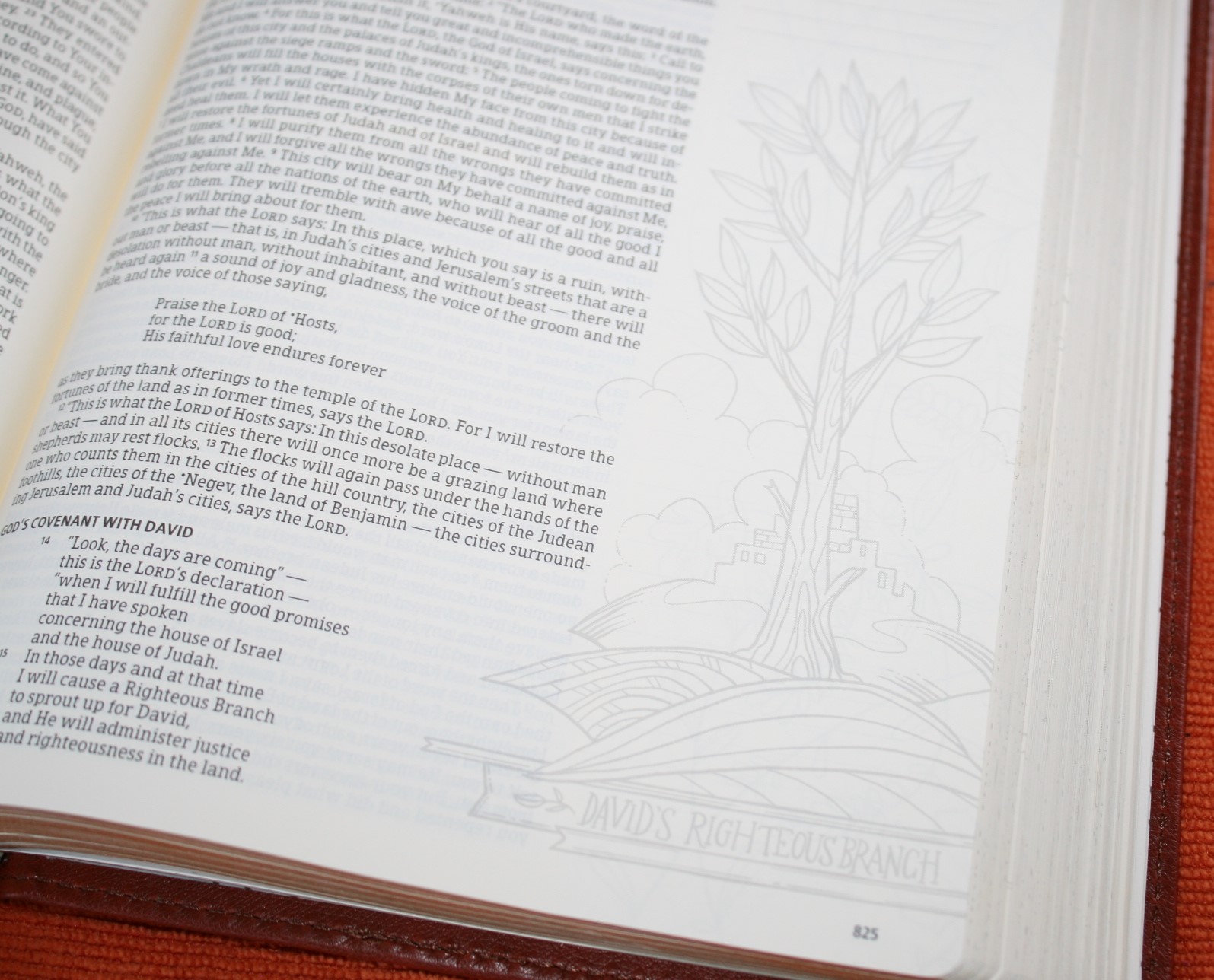 HCSB Illustrator's Notetaking Bible Review - Bible Buying Guide
