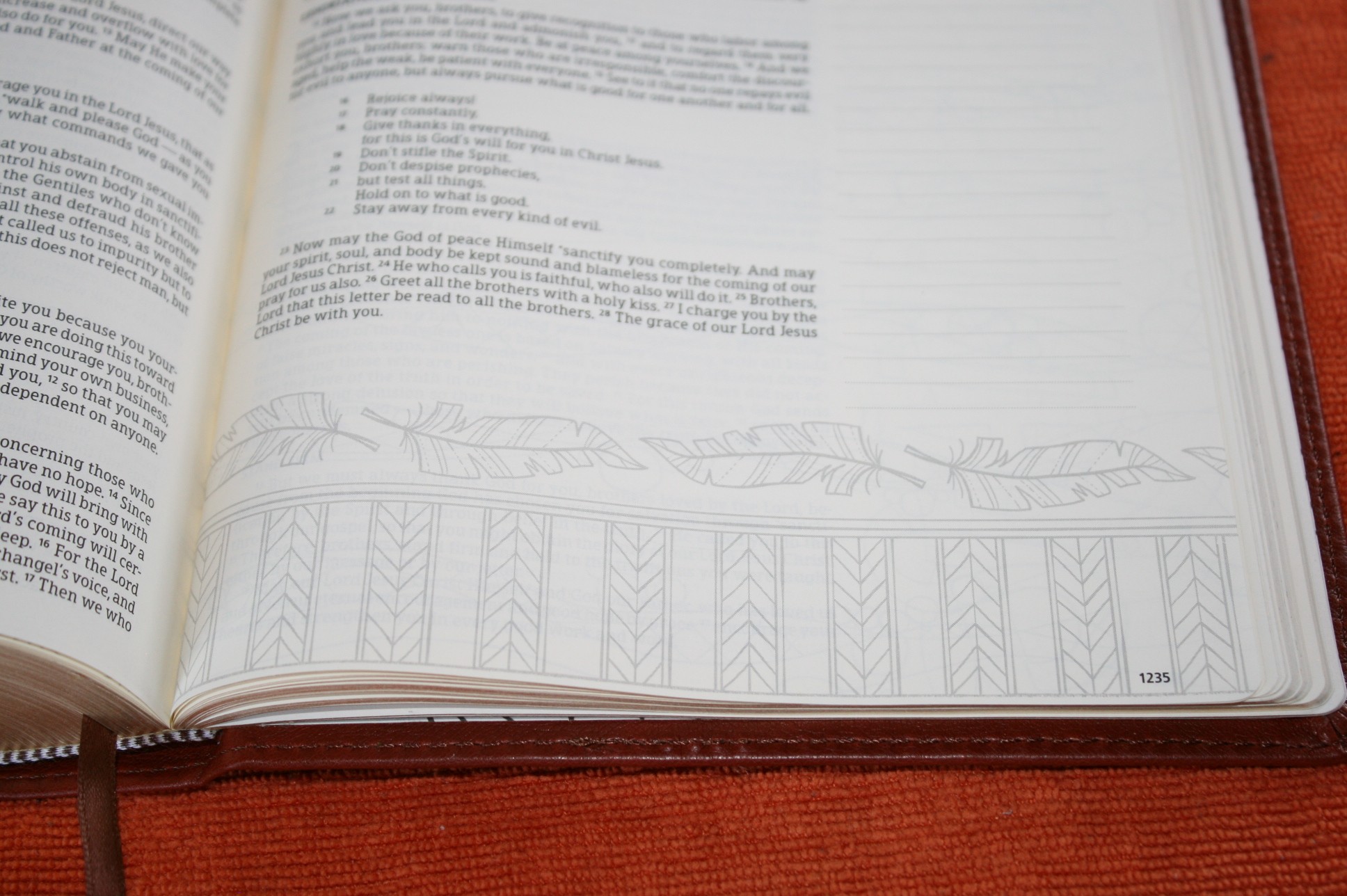 HCSB Illustrator's Notetaking Bible Review - Bible Buying Guide