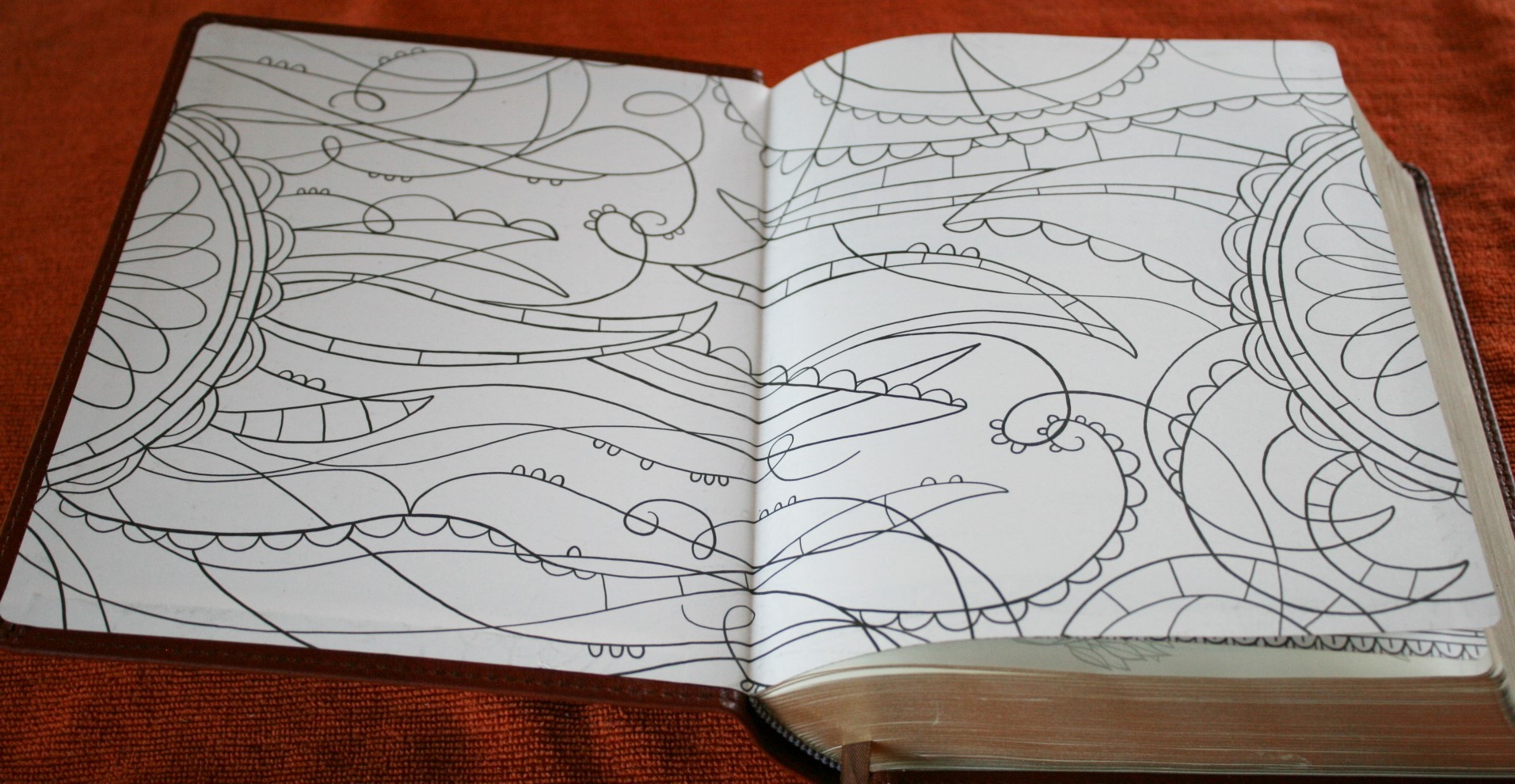 HCSB Illustrator's Notetaking Bible Review - Bible Buying Guide