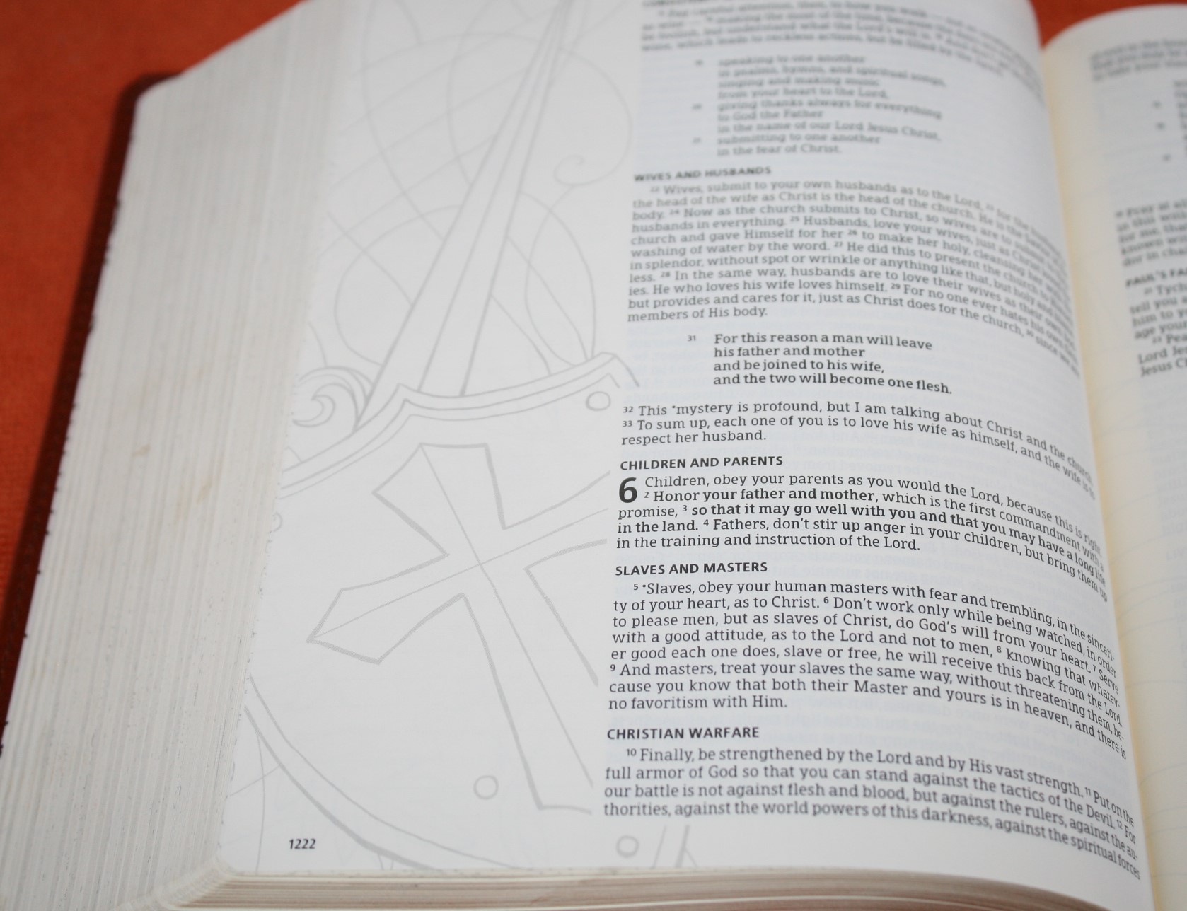 HCSB Illustrator's Notetaking Bible Review - Bible Buying Guide