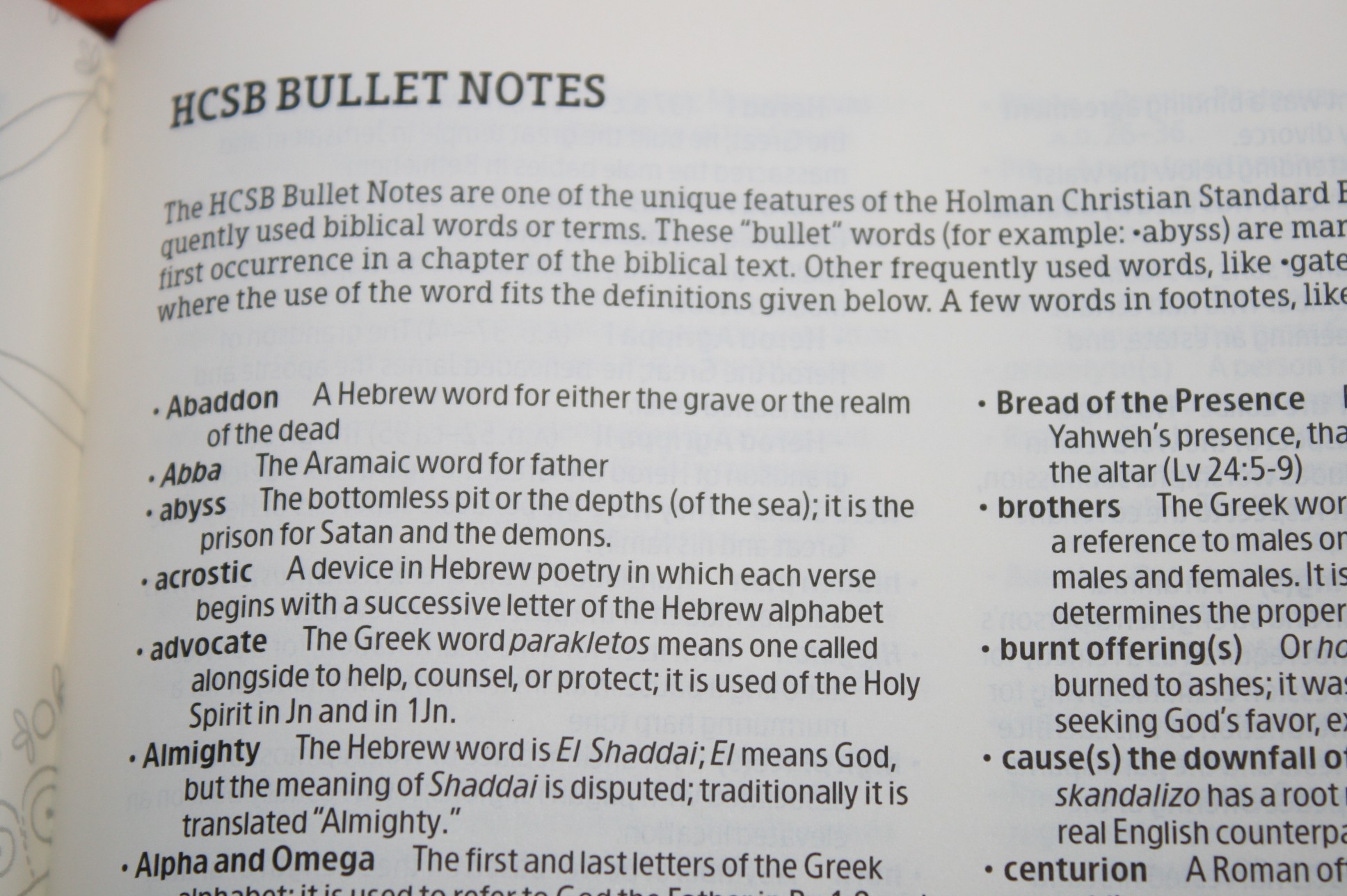 HCSB Illustrator's Notetaking Bible Review - Bible Buying Guide
