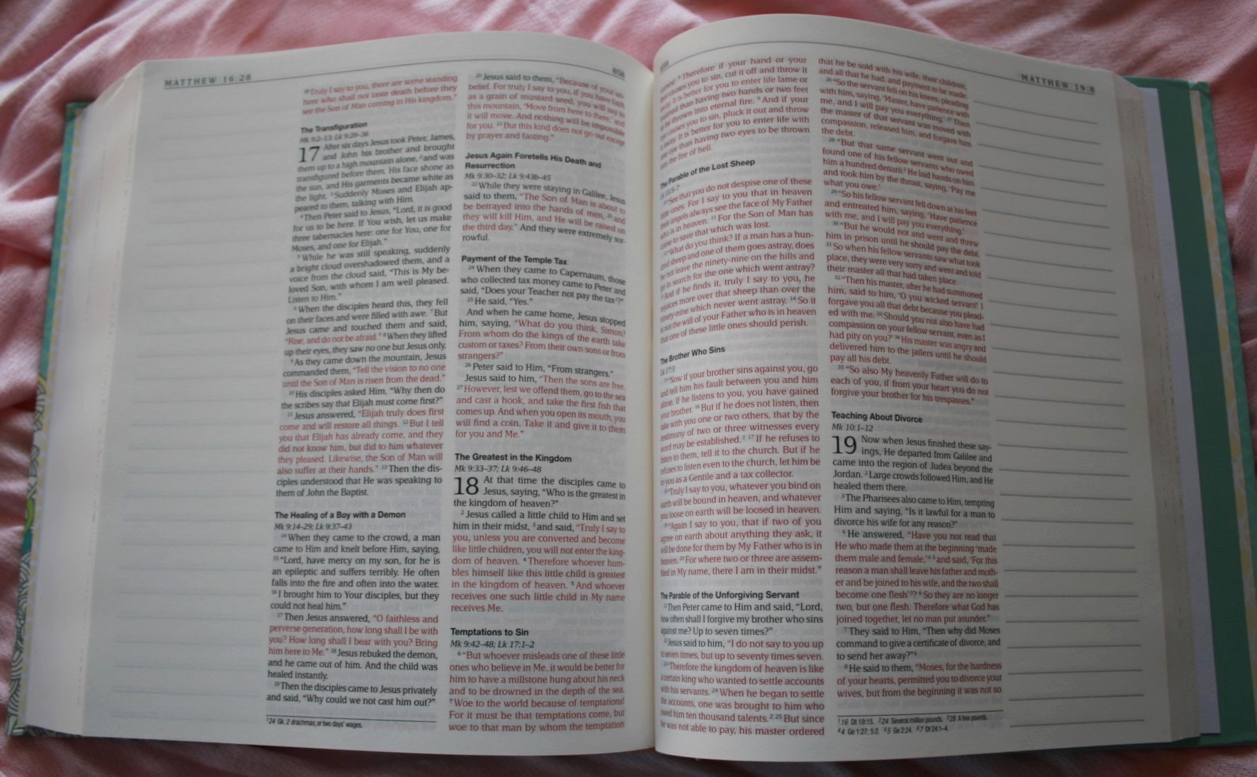 Quick Look - MEV The Promises of God Creative Journaling Bible - Bible ...