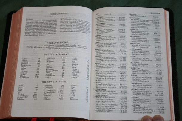 Cambridge ESV Pitt Minion in Black Goatskin – Review - Bible Buying Guide