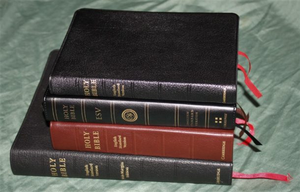 Cambridge ESV Pitt Minion in Black Goatskin – Review - Bible Buying Guide