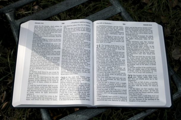 TBS Large Print Bible Review - Bible Buying Guide