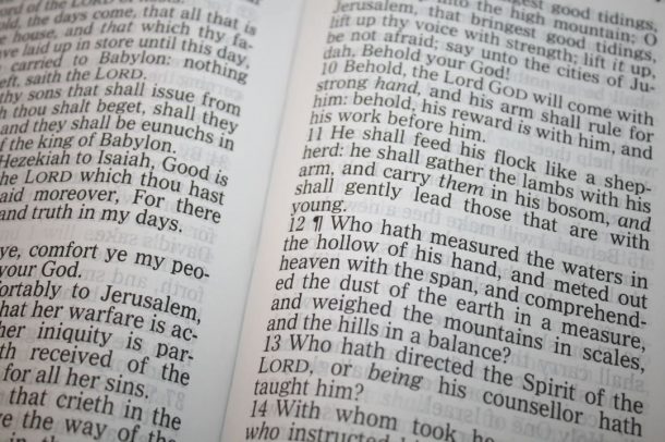 TBS Large Print Bible Review - Bible Buying Guide