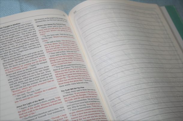 MEV The Promises of God Creative Journaling Bible Review - Bible Buying ...