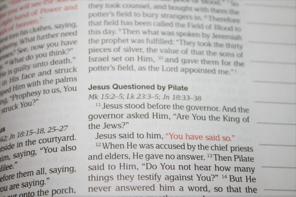 MEV The Promises of God Creative Journaling Bible Review - Bible Buying ...