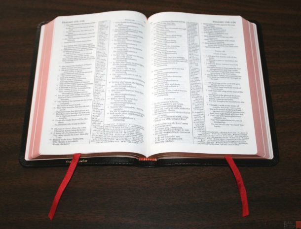 Cambridge NASB Pitt Minion Bible Review - Bible Buying Guide