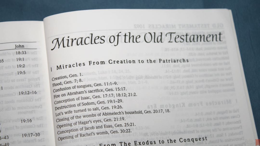 Hendrickson KJV Large Print Bible Review Bible Buying Guide Hendrickson KJV Large Print Bible Review Bible Buying Guide