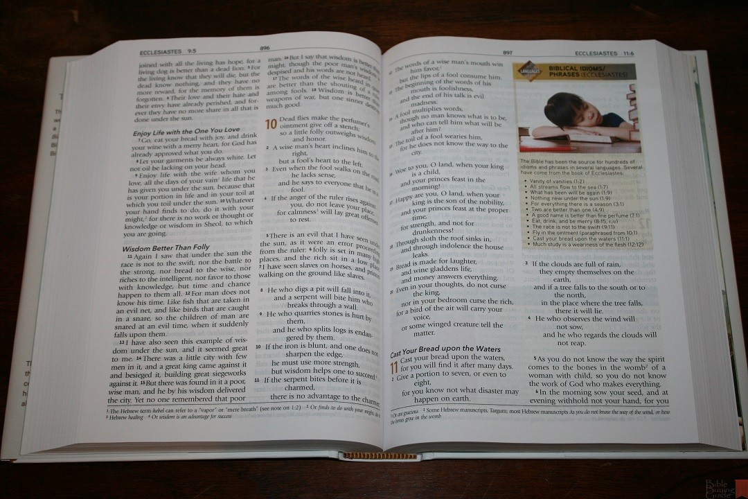 Global Impact Bible Review - Bible Buying Guide