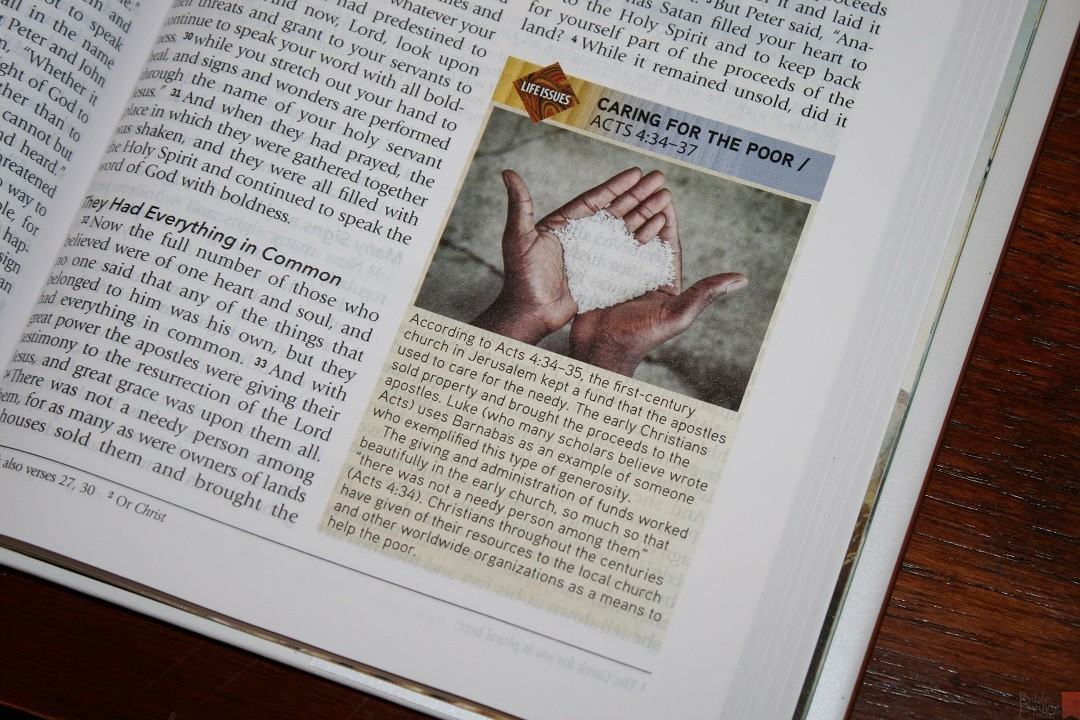 Global Impact Bible Review - Bible Buying Guide