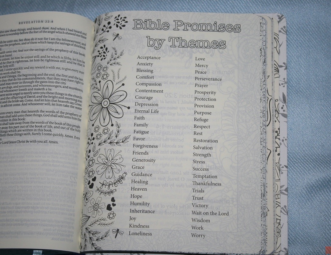 KJV My Promise Bible Review - Bible Buying Guide