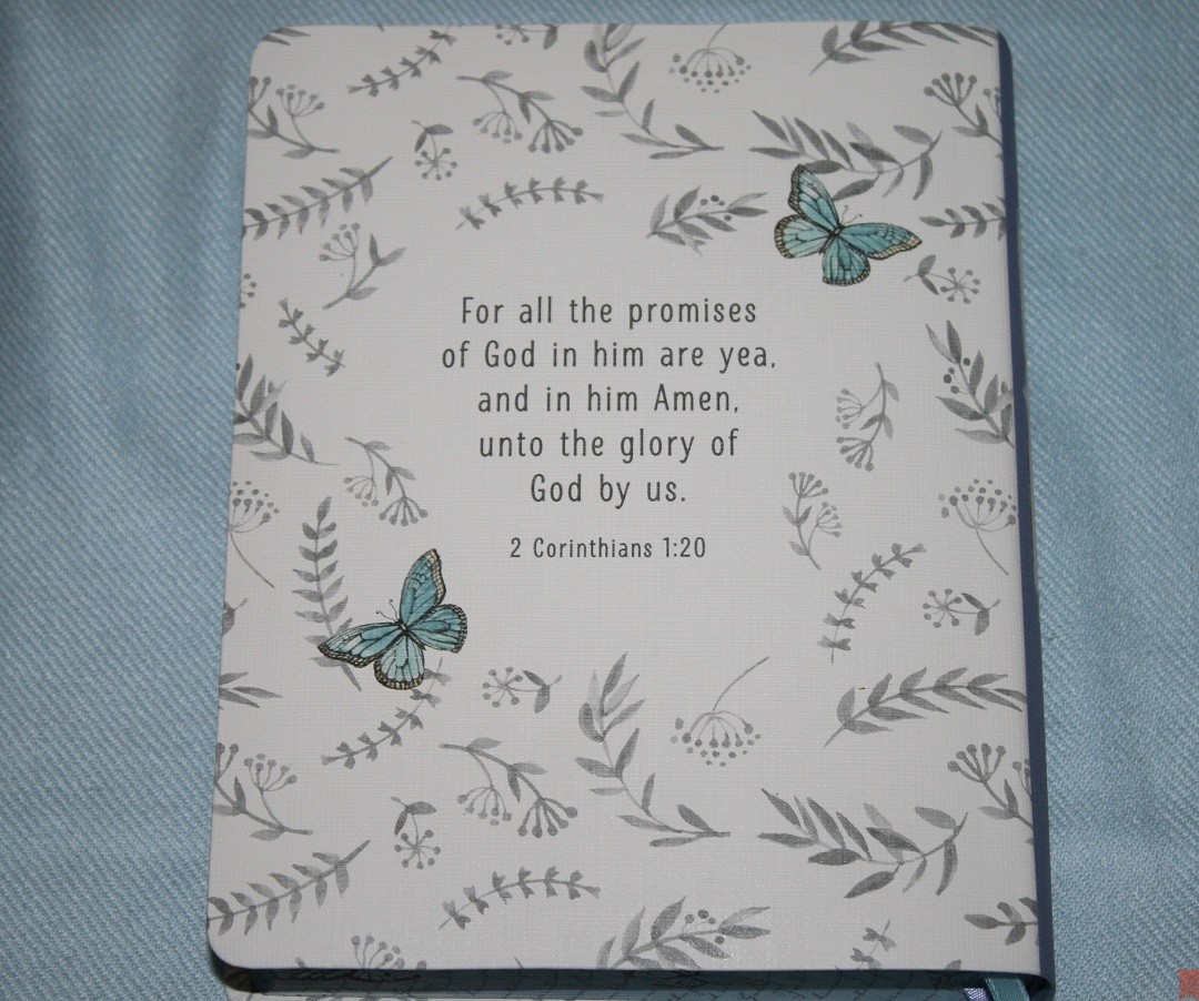 KJV My Promise Bible Review - Bible Buying Guide